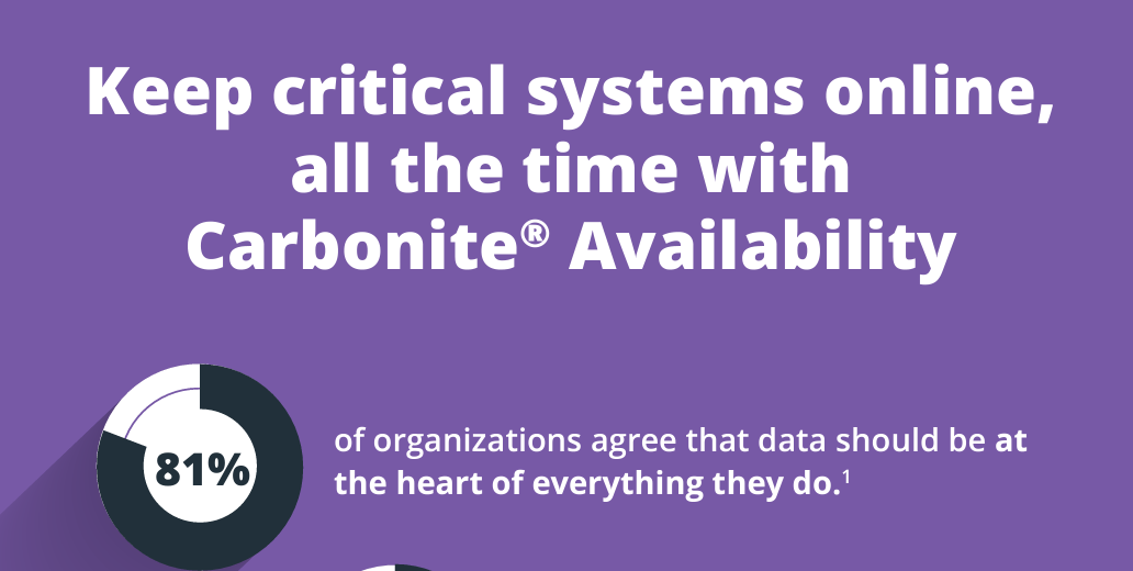 Keep critical systems online | Infographic | Carbonite