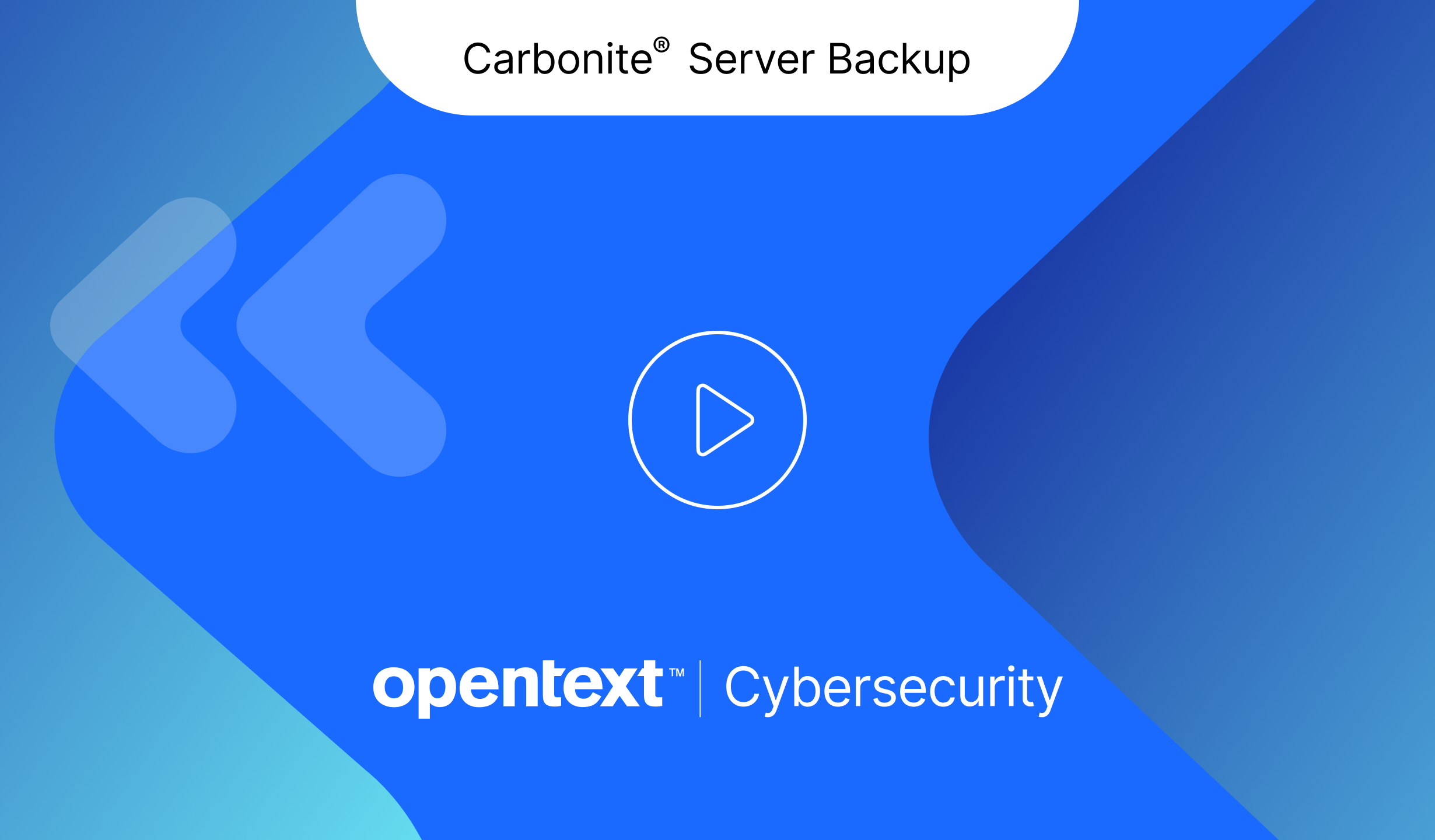 Carbonite Server Backup and Recovery - Secure, Flexible | Carbonite